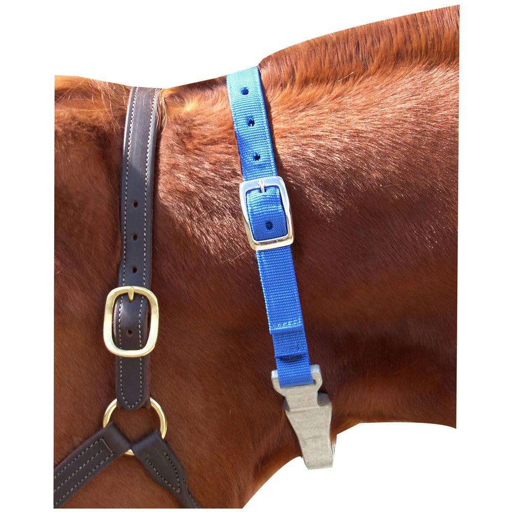 Nylon Cribbing Strap – Argento Equestrian 2020 Tack Shop